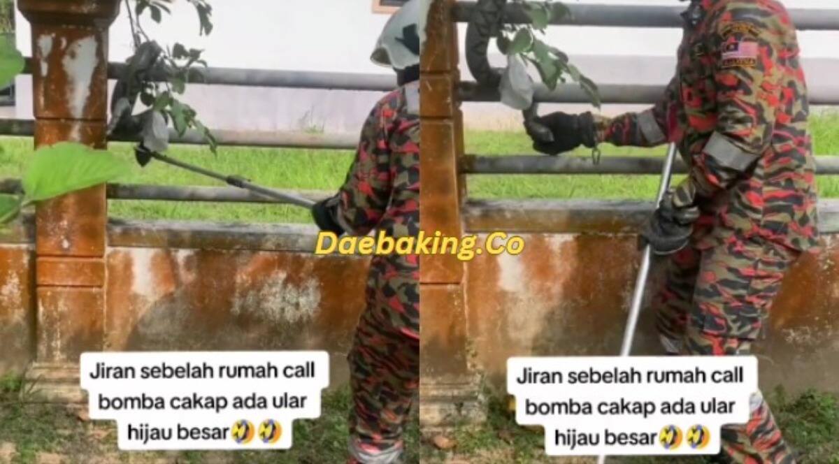 Jiran Call Bomba Cakap Ada Ular Hijau Besar Di Pagar, Tak Sangka Ini ...